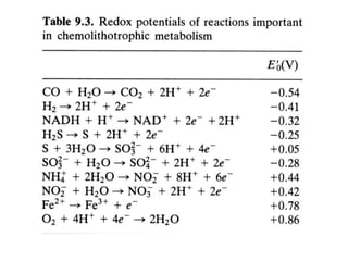 Chemolithotrophy | PPTX