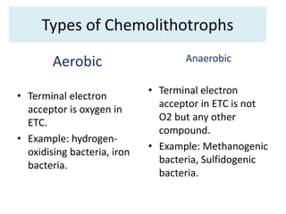 Chemolithotrophy | PPTX