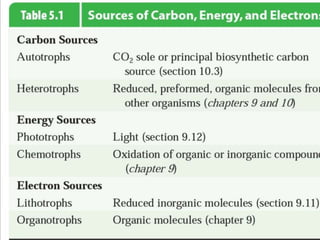 Chemolithotrophy | PPTX