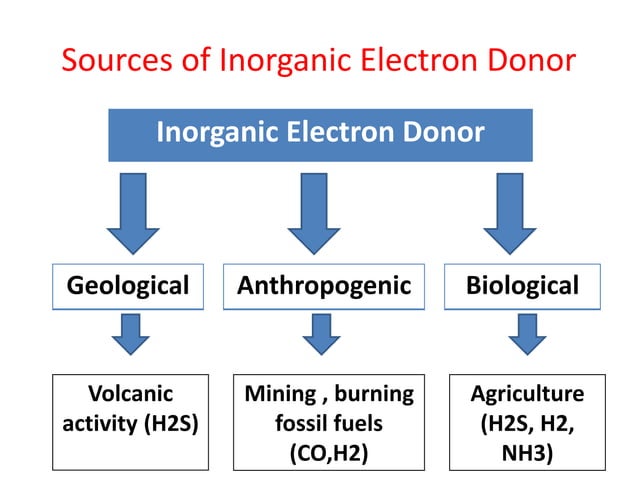 Chemolithotrophy | PPTX