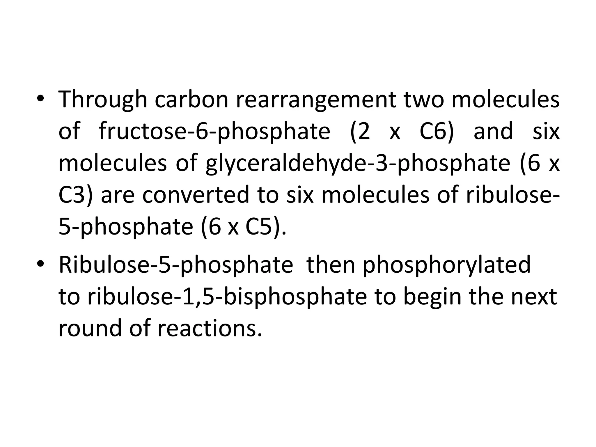 Chemolithotrophy: CO2 fixation, calvin cycle and key enzymes | PPTX