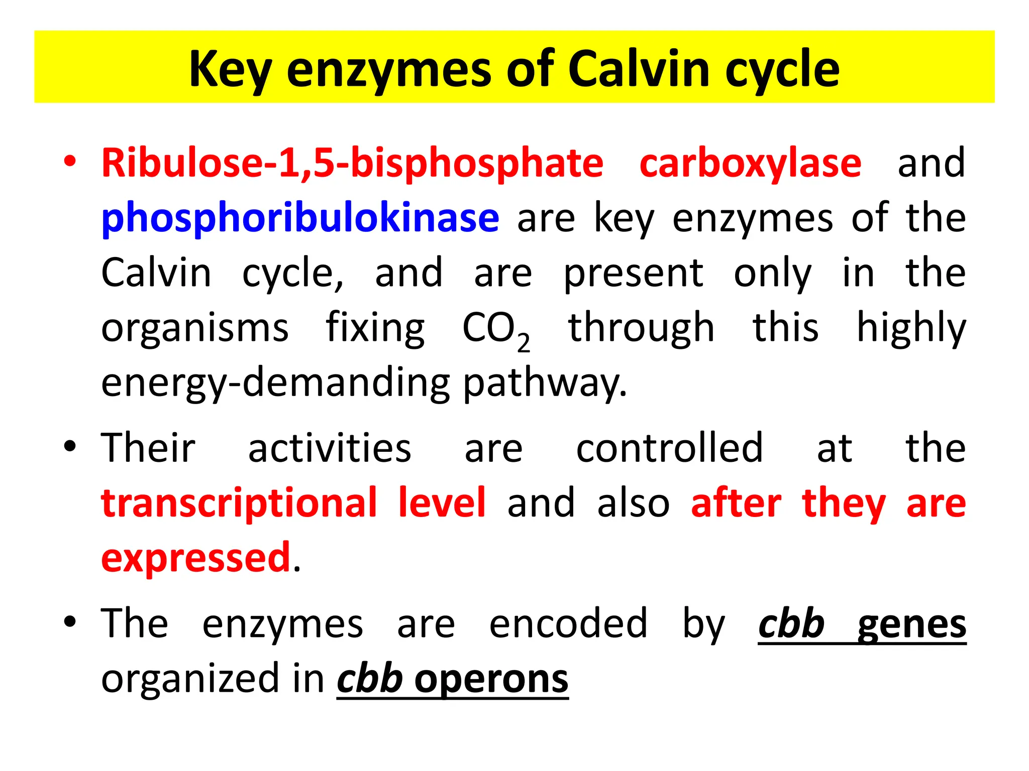 Chemolithotrophy: CO2 fixation, calvin cycle and key enzymes | PPTX
