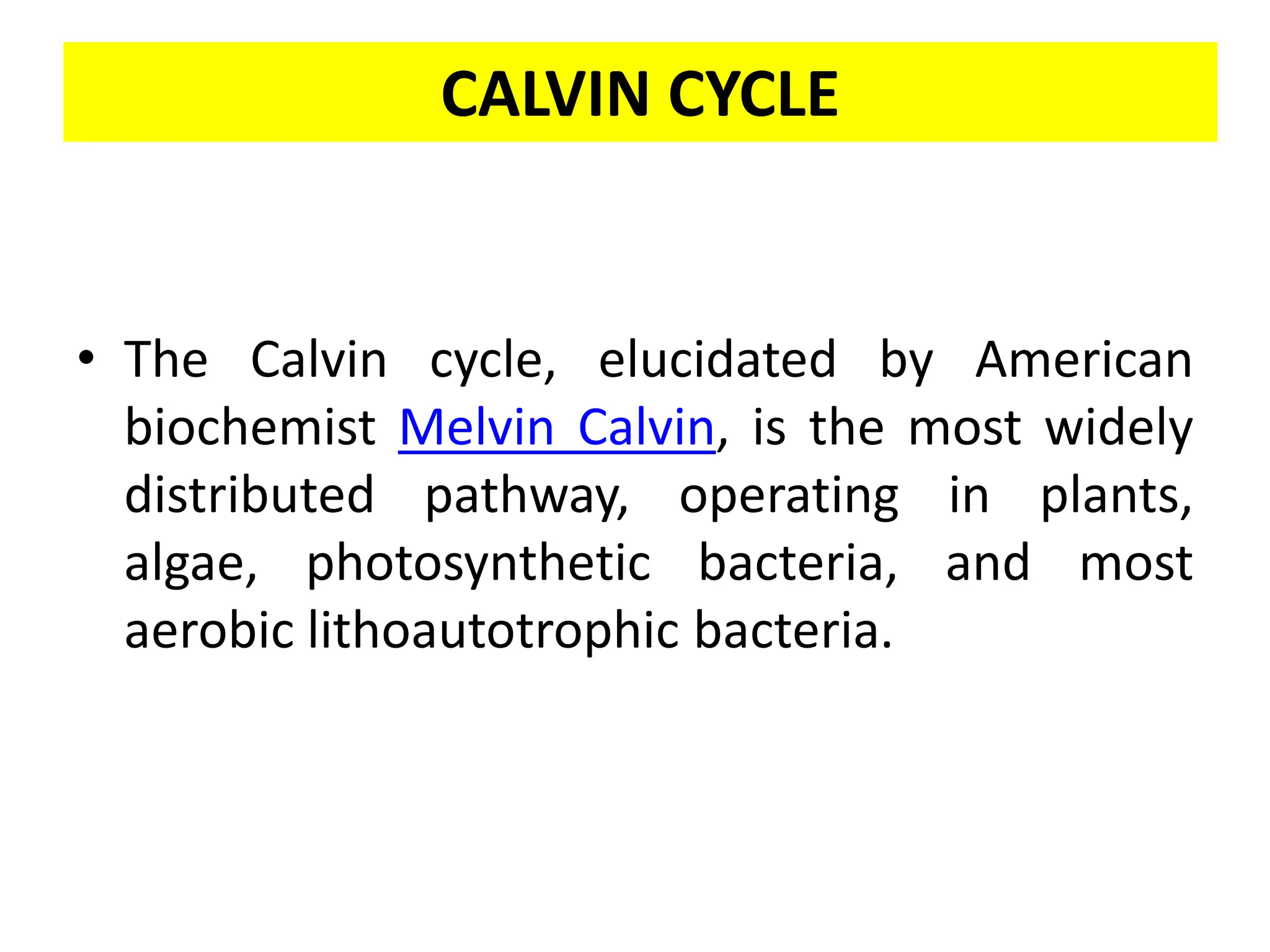 Chemolithotrophy: CO2 fixation, calvin cycle and key enzymes | PPTX