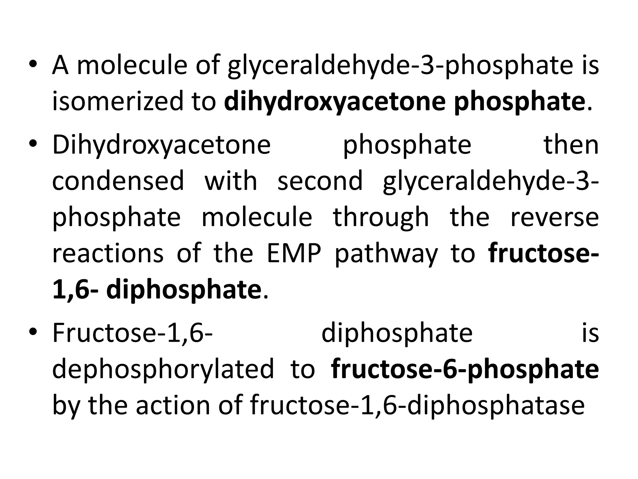 Chemolithotrophy: CO2 fixation, calvin cycle and key enzymes | PPTX