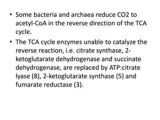 Chemolithotrophy: CO2 fixation, calvin cycle and key enzymes | PPTX