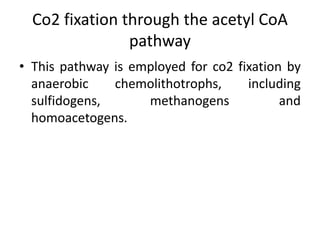 Chemolithotrophy: CO2 fixation, calvin cycle and key enzymes | PPTX