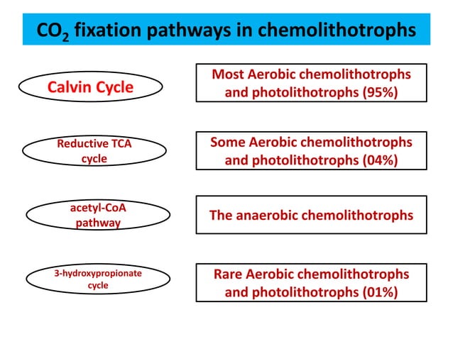 Chemolithotrophy: CO2 fixation, calvin cycle and key enzymes | PPTX