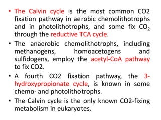 Chemolithotrophy: CO2 fixation, calvin cycle and key enzymes | PPTX