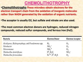Chemolithotrophy sulfur oxidation metabolism | PPT