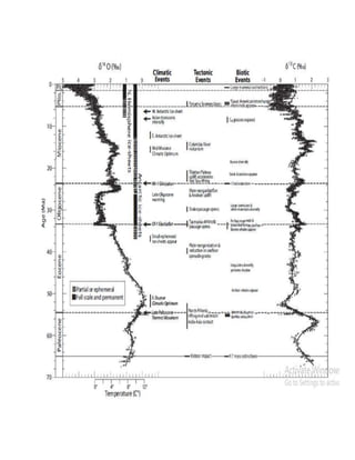 Chemostratigraphy | DOCX