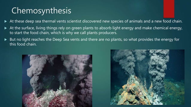 Chemosynthesis Notes | PPTX | Chemistry | Science