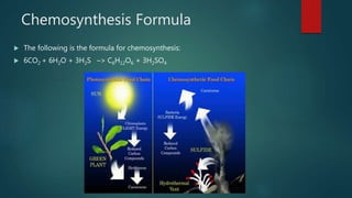 Chemosynthesis Notes | PPTX