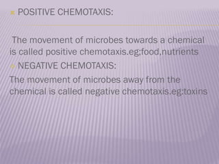 Chemotaxis | PPTX