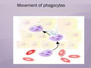 Chemotaxis Movement
