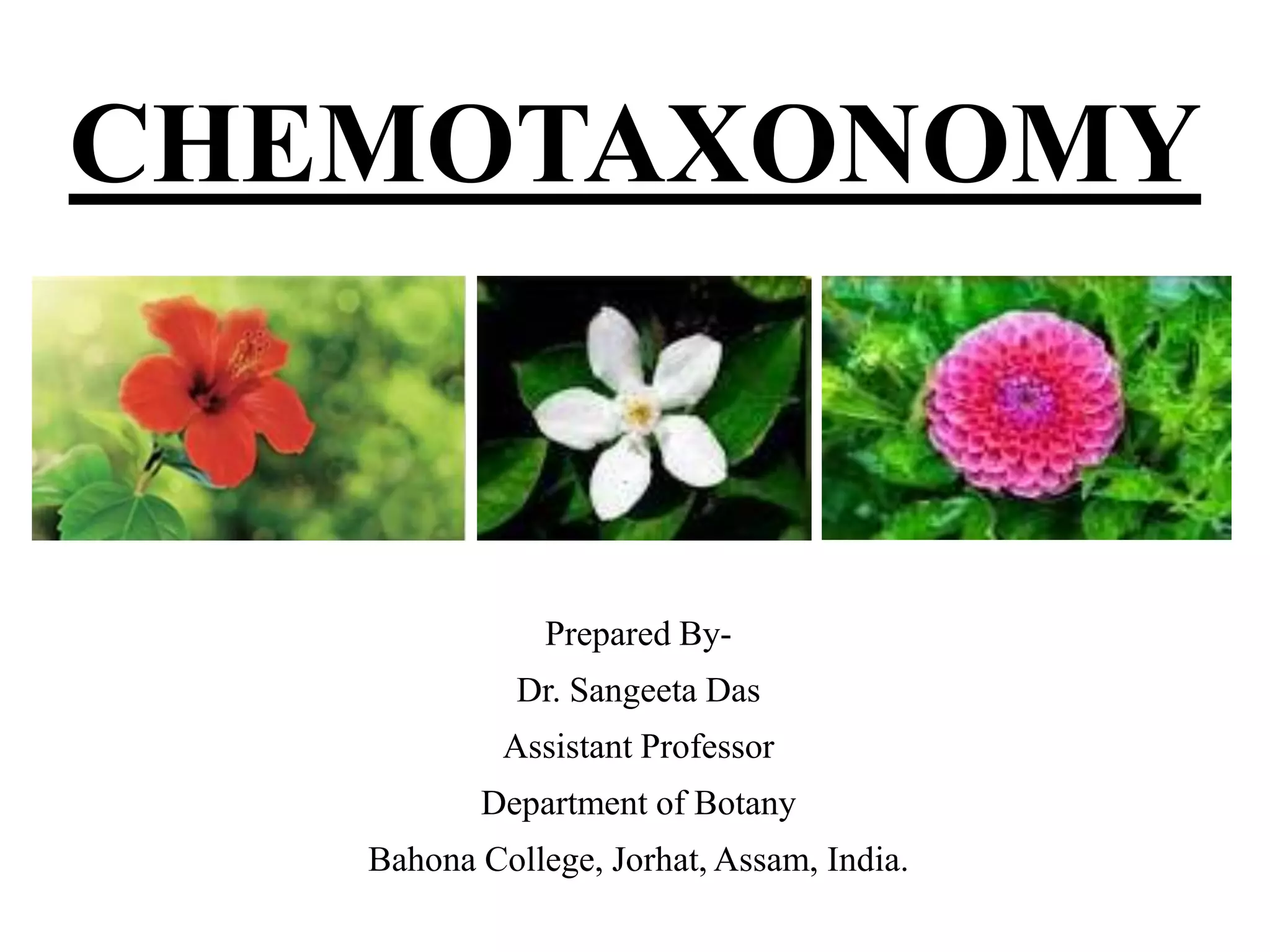 Chemotaxonomy-Plant Taxonomy | PPTX