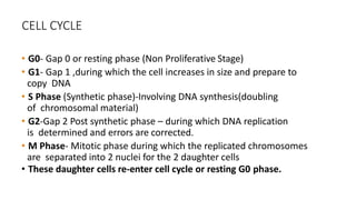 Chemotherapeutic agents in ENT | PPTX