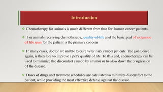 Chemotheraphy in Animal's | PPTX