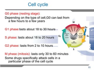 Chemotherapy in orthopaedics | PPTX