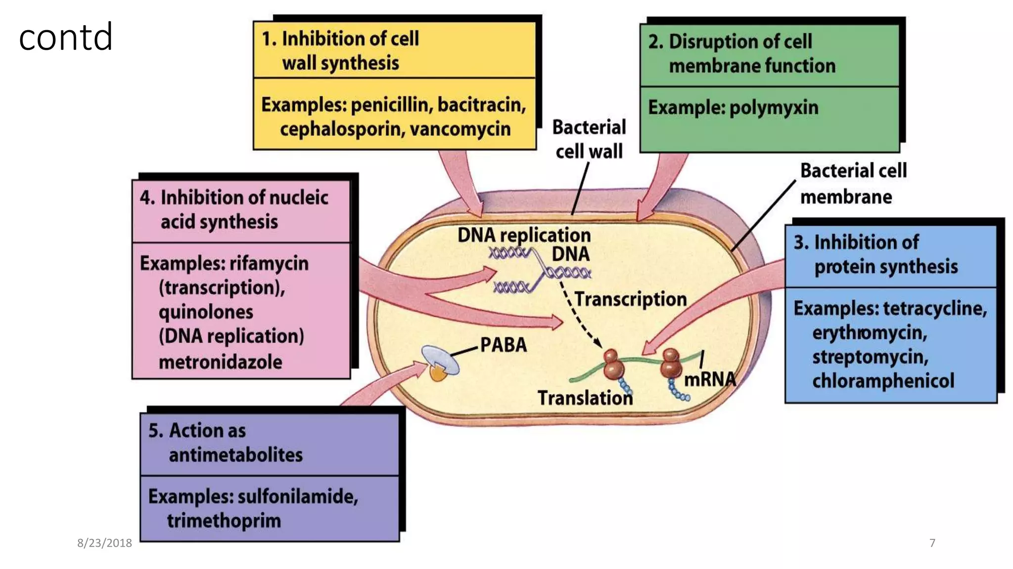 Chemotherapy | PPTX