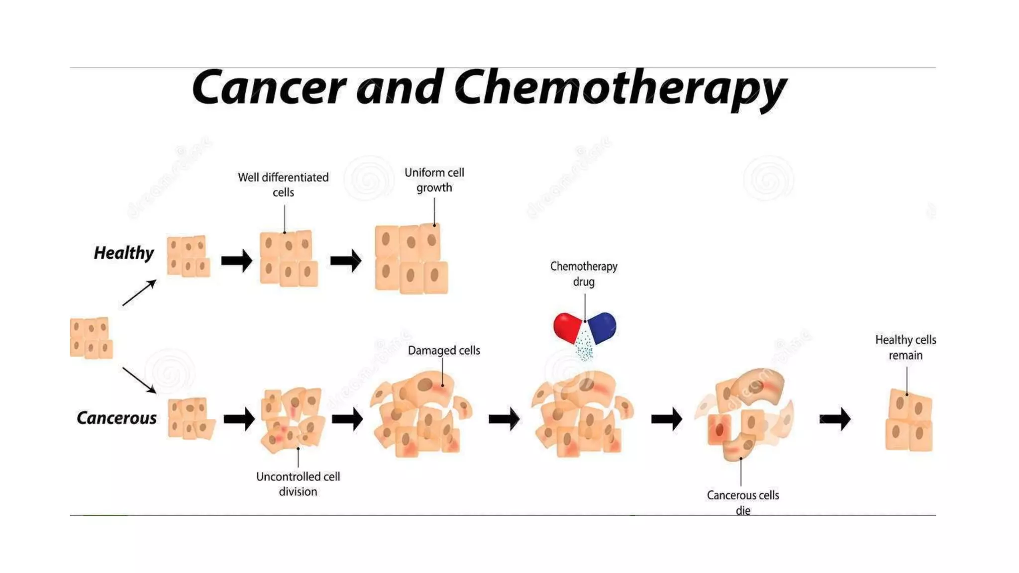 Chemotherapy | PPTX