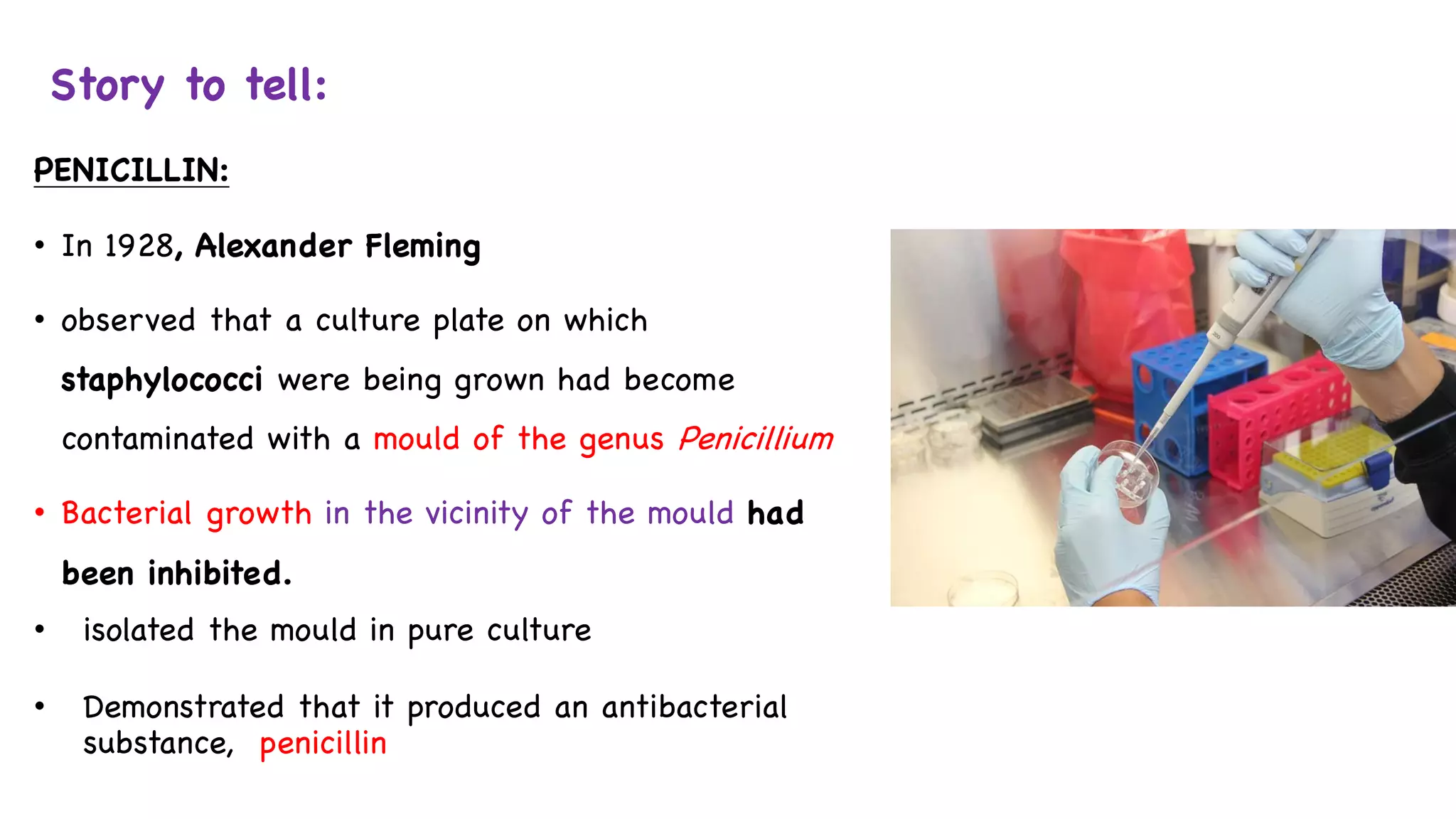 Antibiotics: Penicillin.pdf