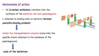 Antibiotics: Penicillin.pdf