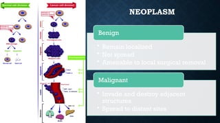 Chemotherapy in surgery: systemic cancer treatment | PPT
