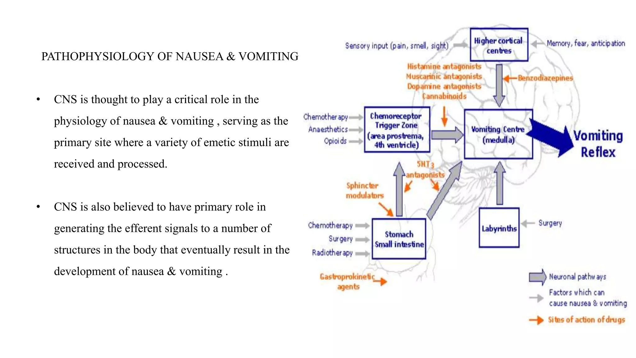 CHEMOTHERAPY-INDUCED NAUSEA AND VOMITING.pptx