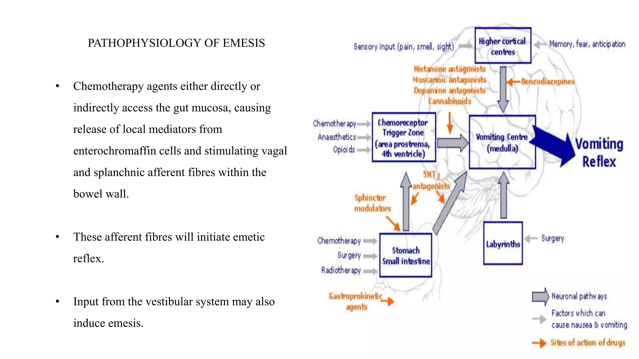 CHEMOTHERAPY-INDUCED NAUSEA AND VOMITING.pptx