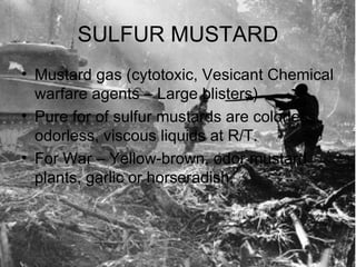 HISTORY OF CANCER CHEMOTHERAPY | PPT