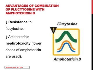 Chemotherapy 3 antifungal agents | PPTX