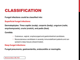 Chemotherapy 3 antifungal agents | PPTX