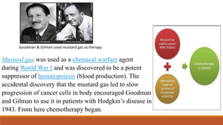Chemotherapy and antibiotics | PPTX