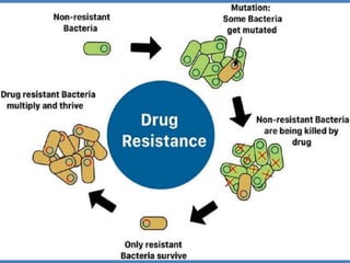 Chemotherapy and Drug Resistance.pptx