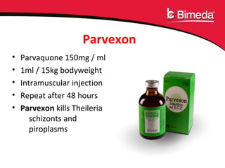 Chemotherapy and east coast fever vaccination by dr. nick mc hardy | ODP