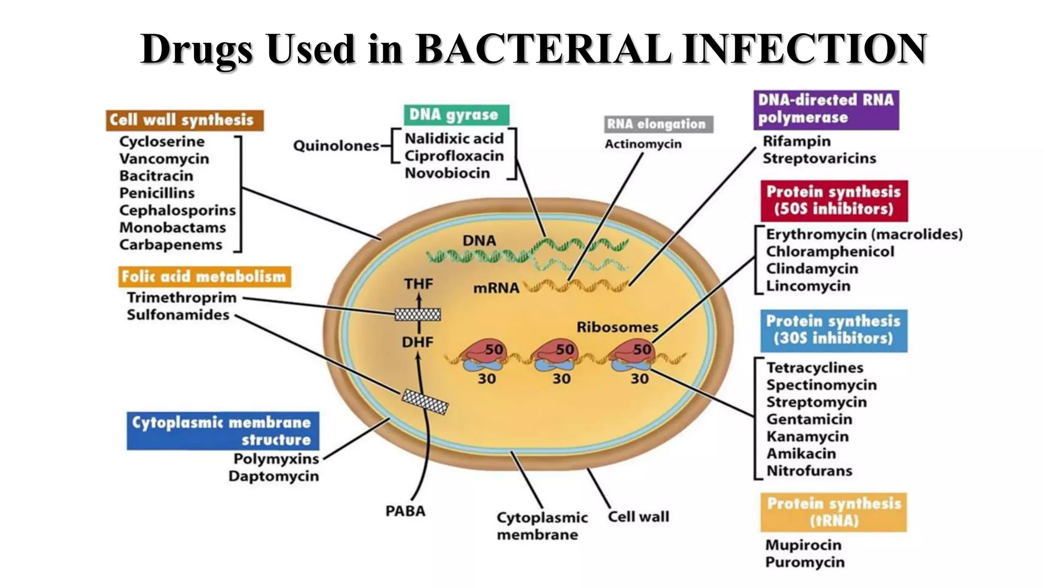 Chemotherapy & Anti bacterial drugs | PPTX