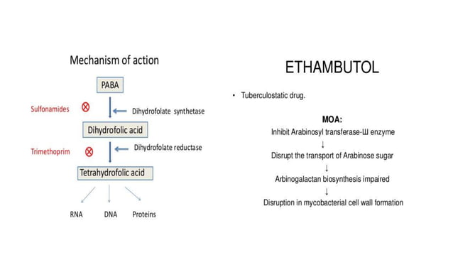 Chemotherapy & Anti bacterial drugs | PPTX Chemotherapy & Anti bacterial drugs | PPTX