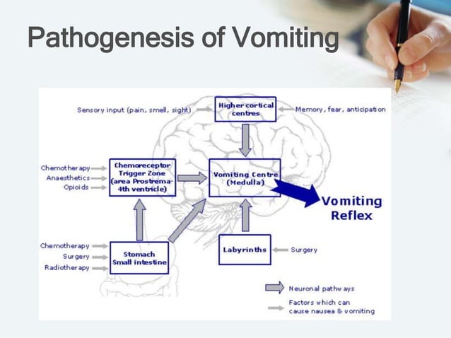 Chemotherapy induced nausea and vomiting | PPTX | Cancer | Diseases and ...