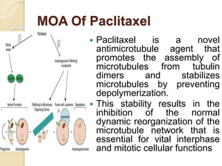 Chemotherapy of cancer | PPTX