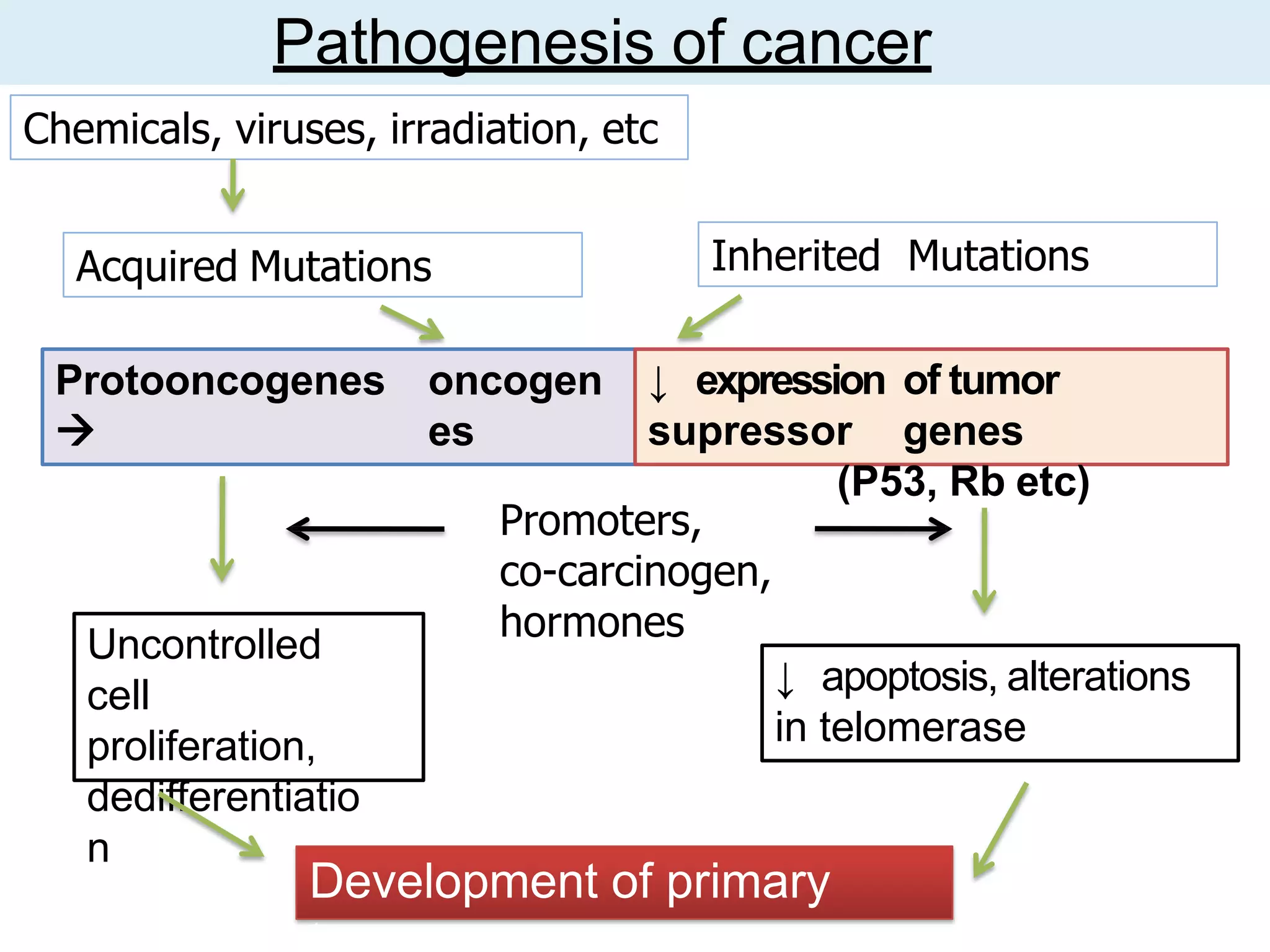 Chemotherapy of cancer | PPTX