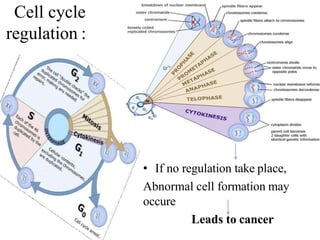Chemotherapy of cancer | PPTX