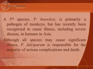 Chemotherapy of maleria | PPT