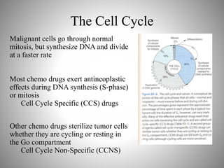 Chemotherapy of malignancy | PPTX