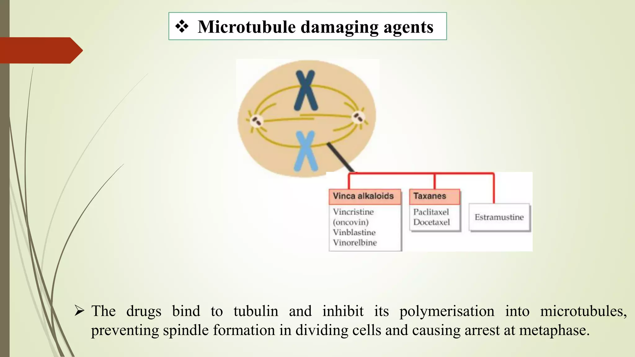 Chemotherapy of Malignancy(Cancer).pptx