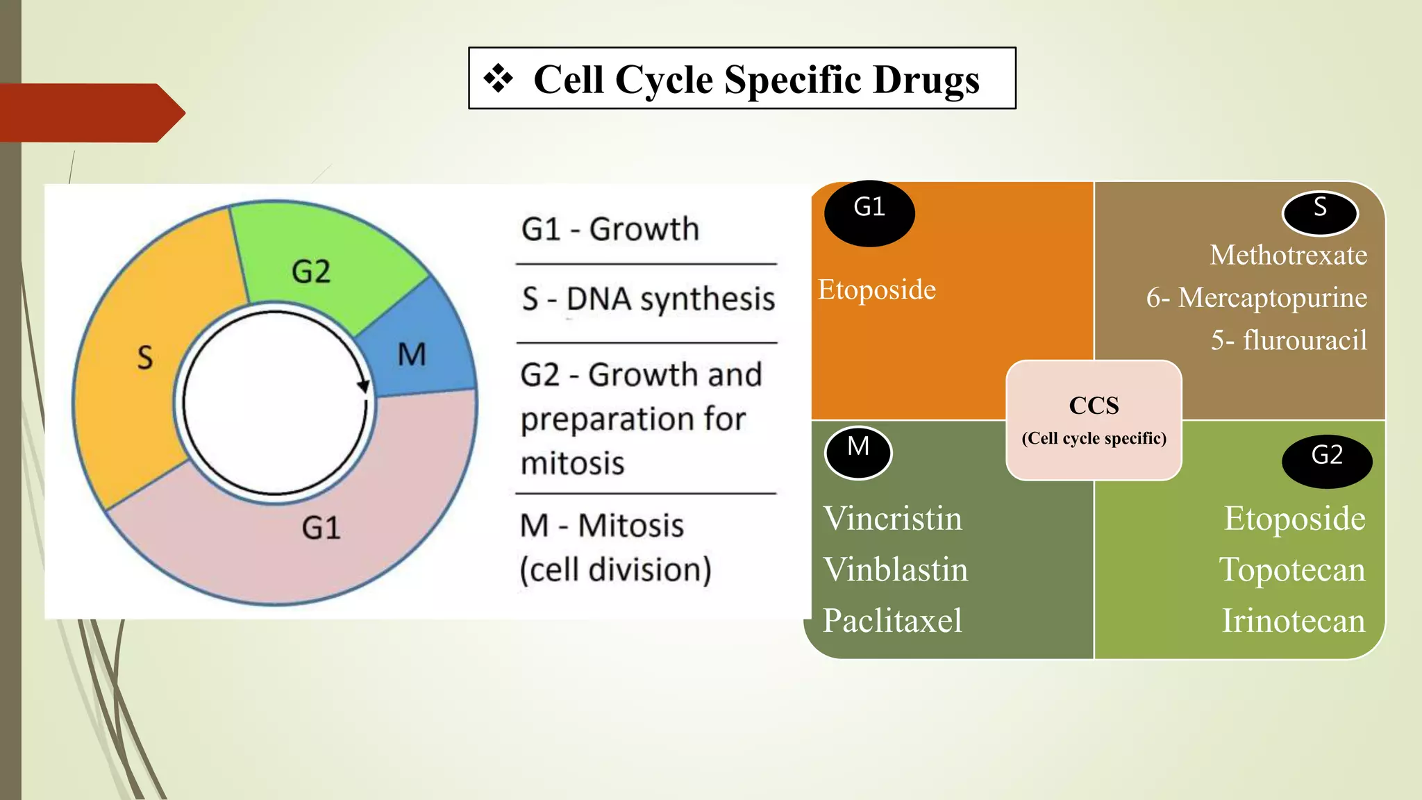 Chemotherapy of Malignancy(Cancer).pptx