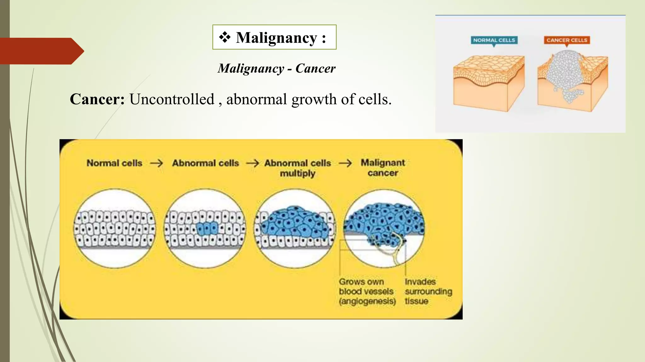 Chemotherapy of Malignancy(Cancer).pptx