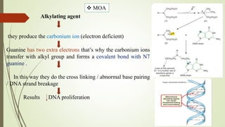 Chemotherapy of Malignancy(Cancer).pptx