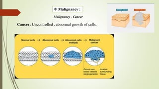 Chemotherapy of Malignancy(Cancer).pptx