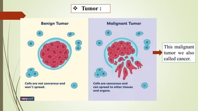 Chemotherapy of Malignancy(Cancer).pptx