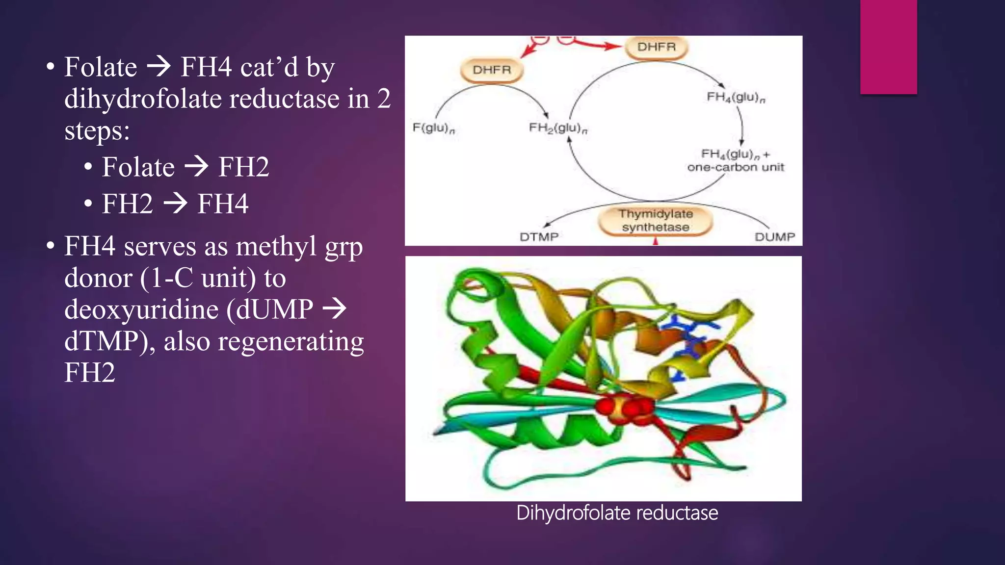 Chemotherapy of neoplastic diseases | PPTX